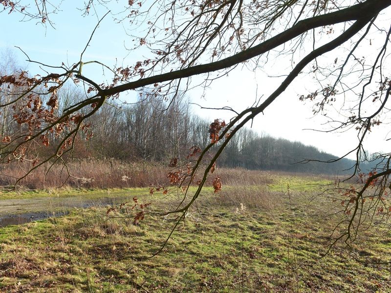 Ablasshandel mit der Natur