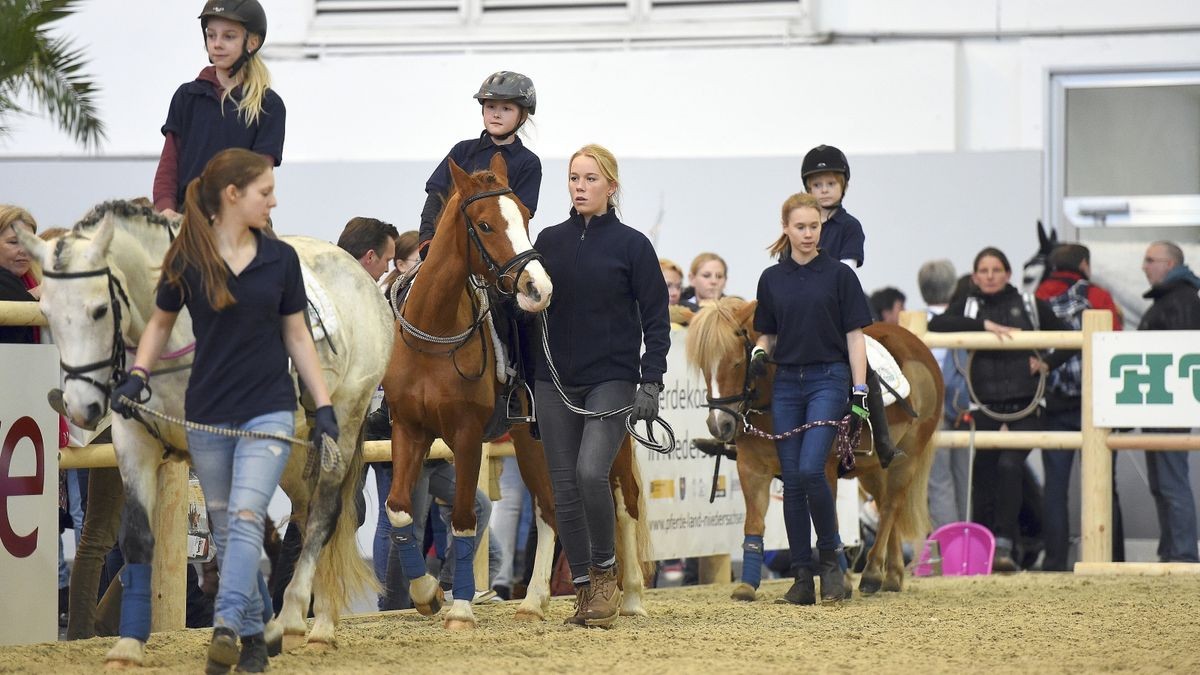 Die Kinder vom Eichenhof