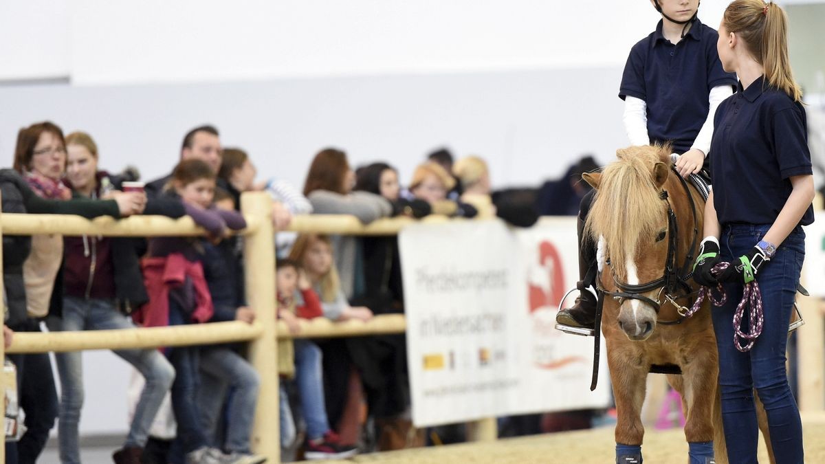 Die Kinder vom Eichenhof