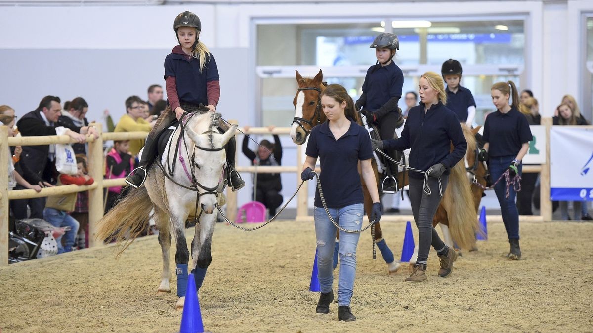 Die Kinder vom Eichenhof