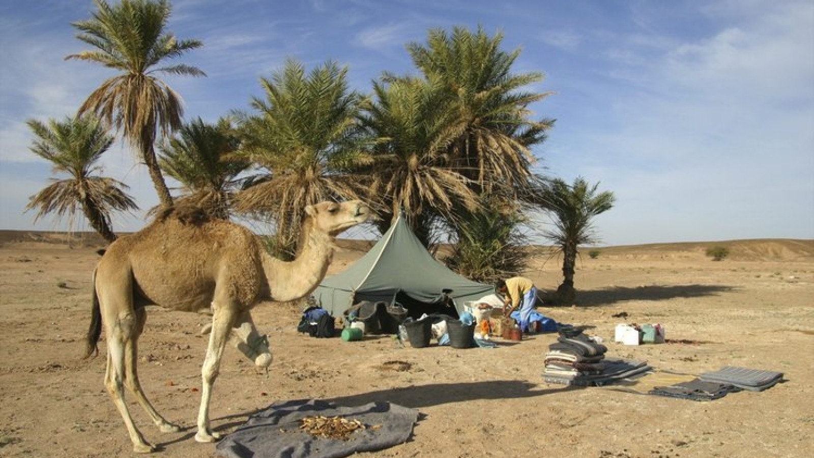 Wie entstehen Oasen?