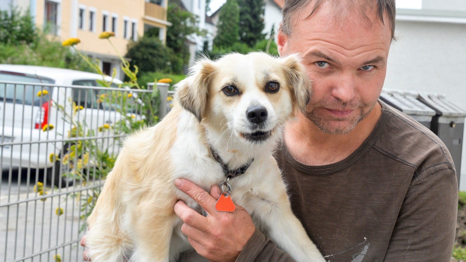 Amtsdeutsch erbost Hundehalter