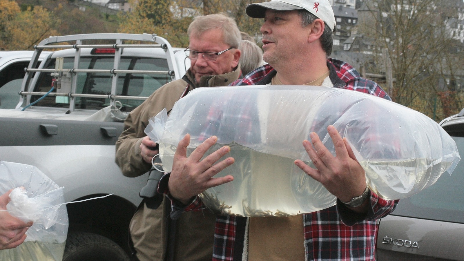 Aalquappe in der Ruhr eingesetzt