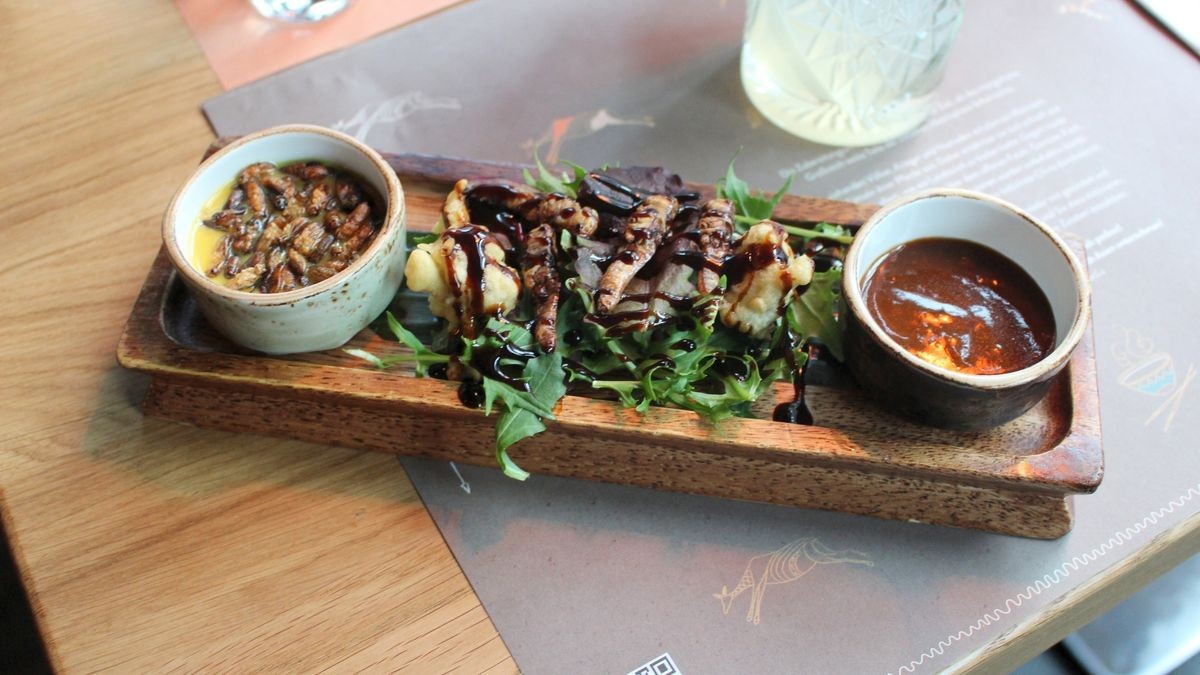 Düsseldorfer Mongo’s Restaurant bietet Dschungelcamp-Food an