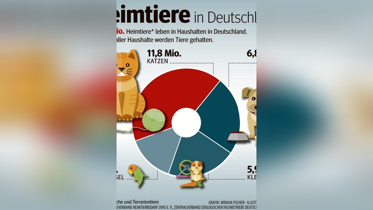 Wie sich Katzen- und Hunde-Typen unterscheiden