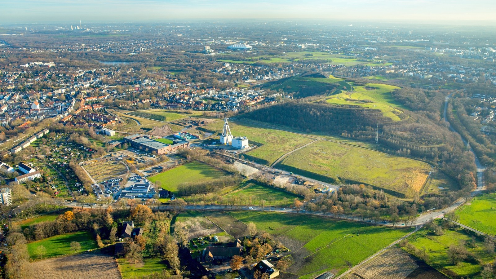 Hugo zeigt seine grüne Seite