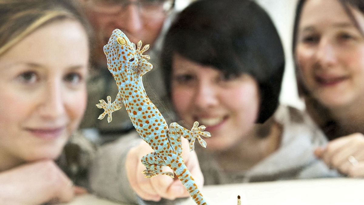 FH Iserlohn informiert über Möglichkeiten der Bionik