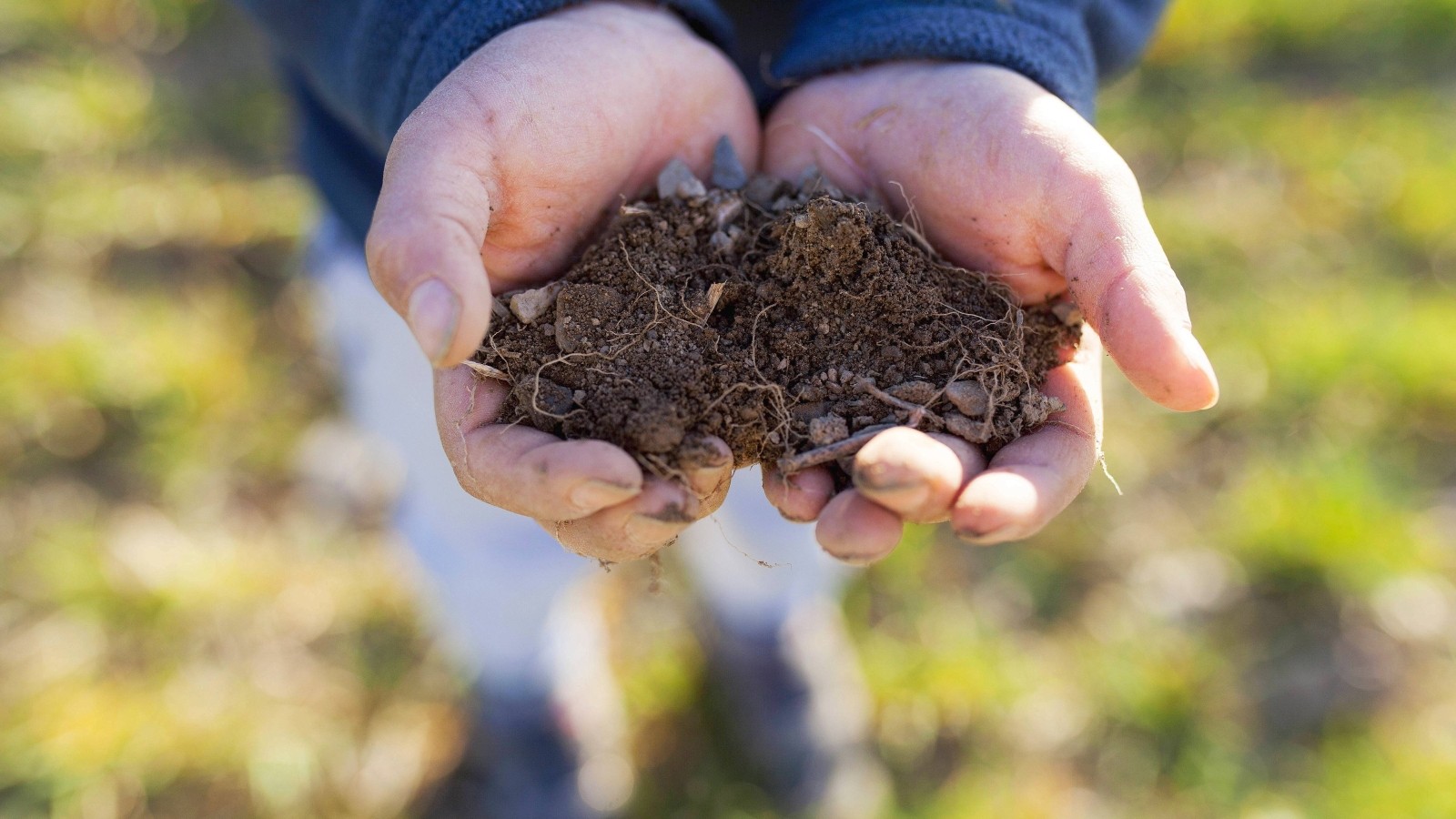 Gefühlsausbruch: Der Sechsjährige Henry Marr will die Umwelt retten