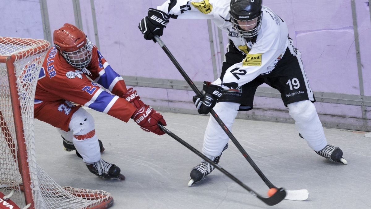 Platz fünf! Die Ducks-Serie hält