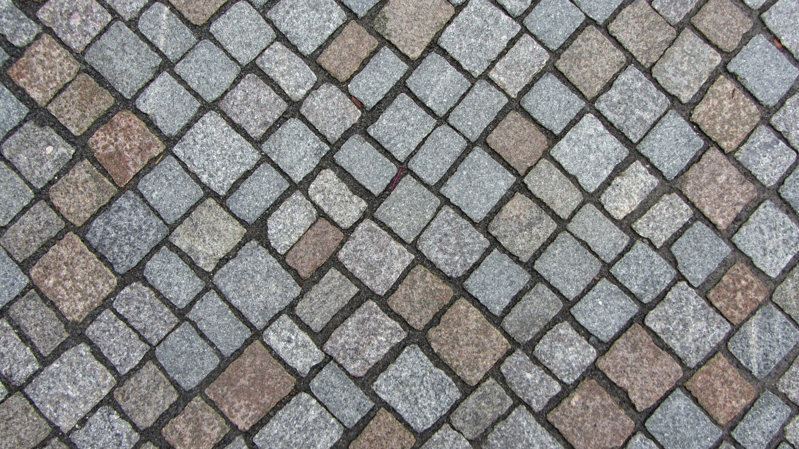 Stadtreinigung Siegen stemmt neue Herausforderungen