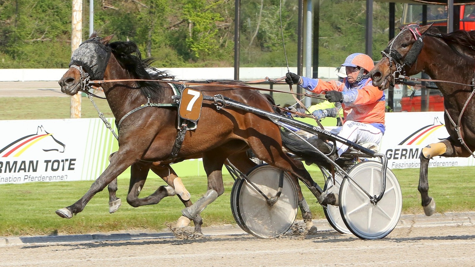 Doppelschlag auf der Trabrennbahn