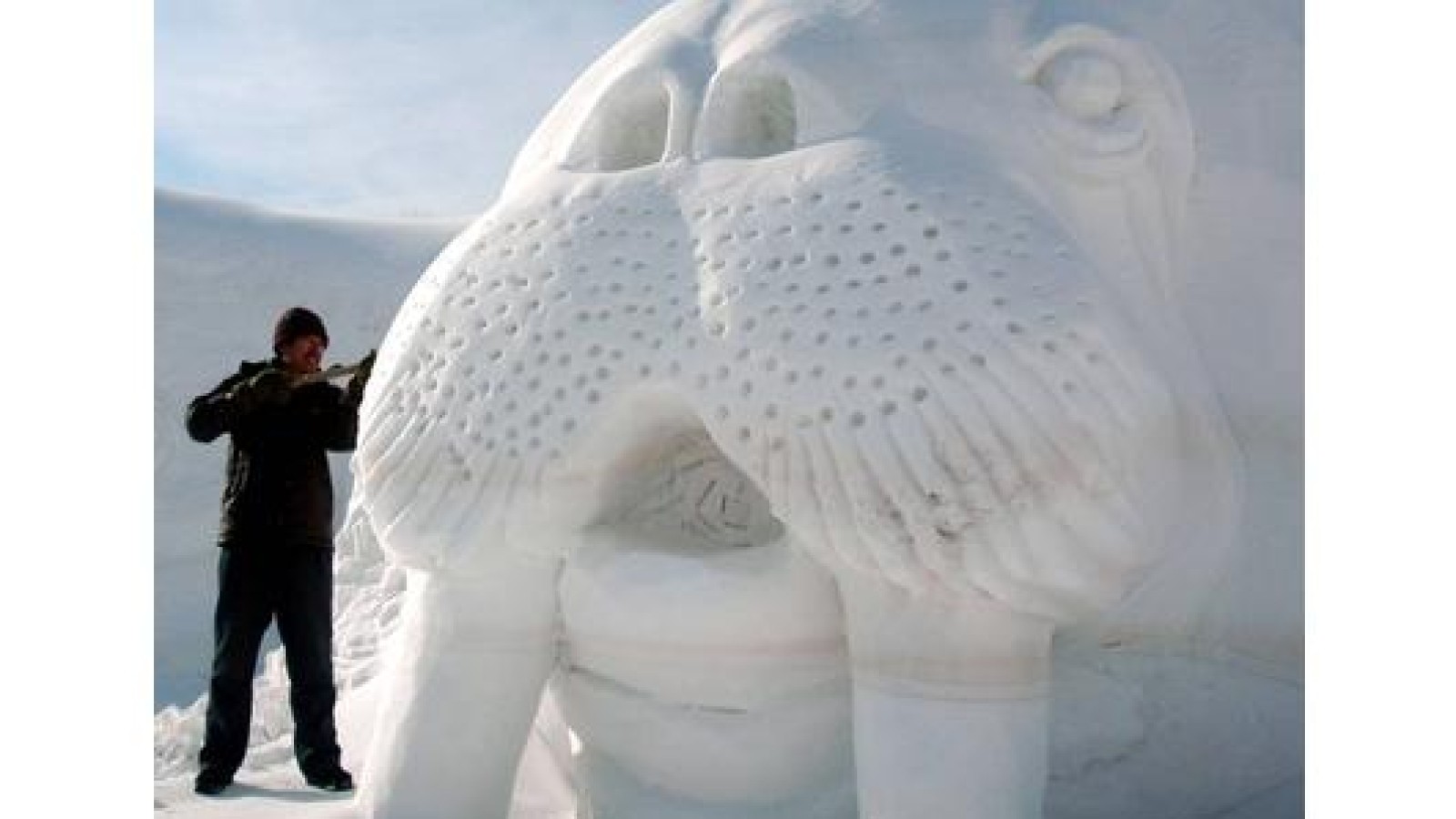 Wo die Flocken locken