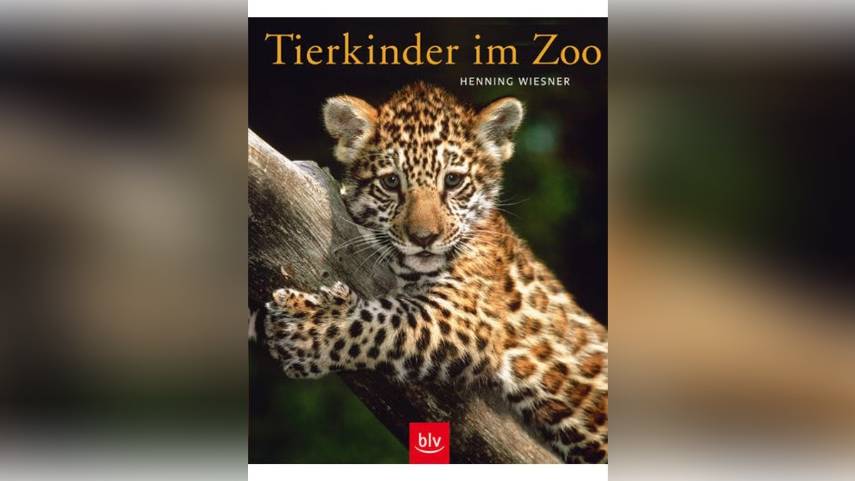 Tierkinder im Zoo