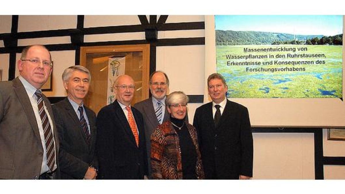 Wasserpest nicht zu bezwingen