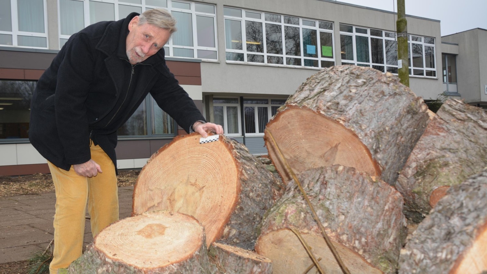Karl Engelbrecht trauert um „seine“ Schwarzkiefern