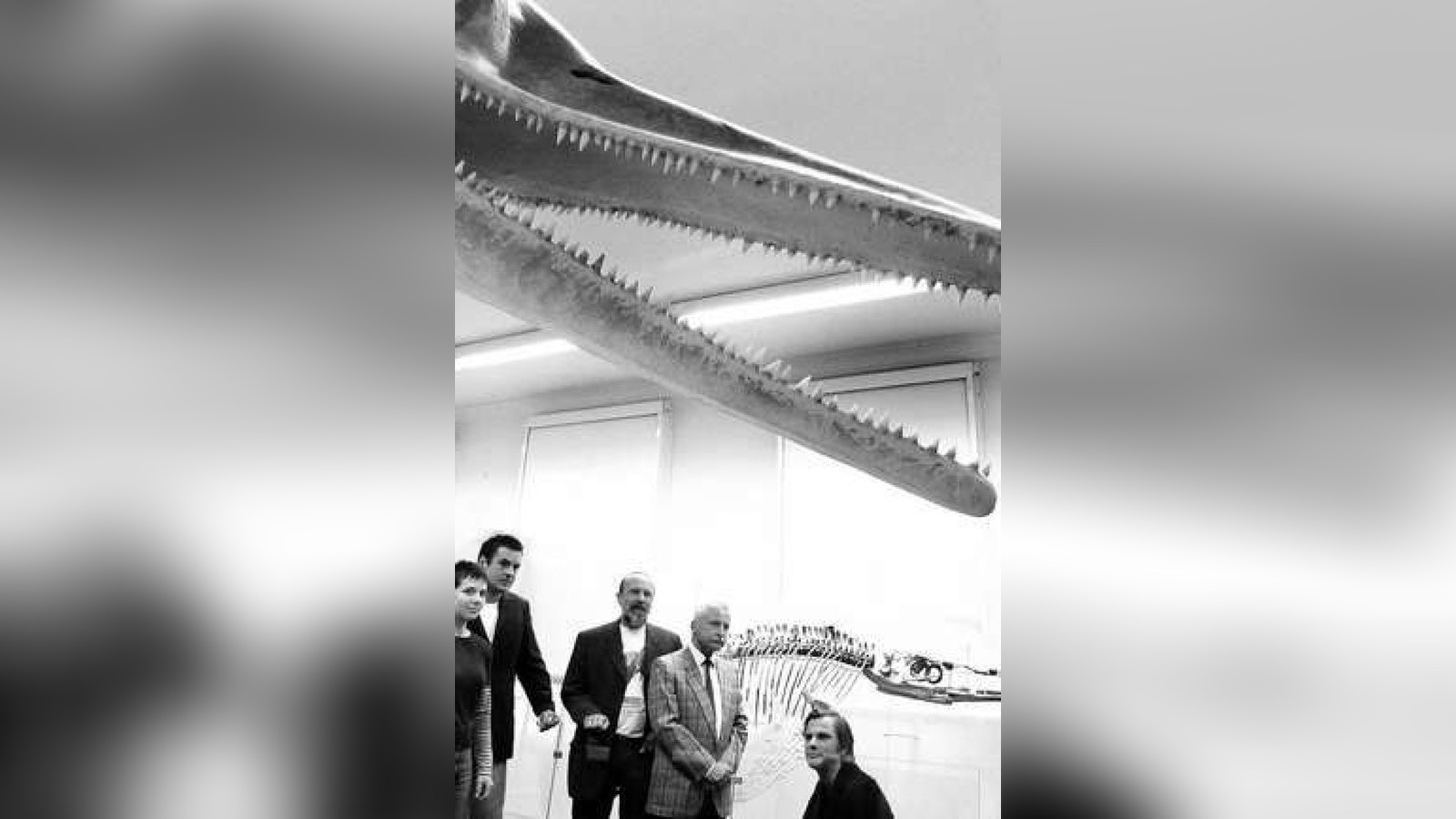 Tag des Fossils: Fischsaurier-Skelett und Modell sind erstmals zu sehen