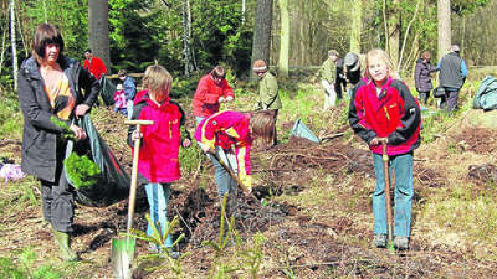 30 fleißige Helfer setzen Douglasie und Tanne
