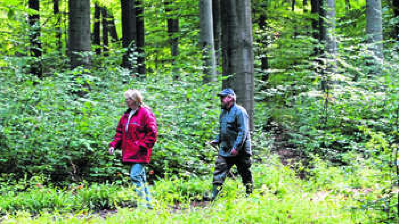 Auf Schusters Rappen über den Kamm