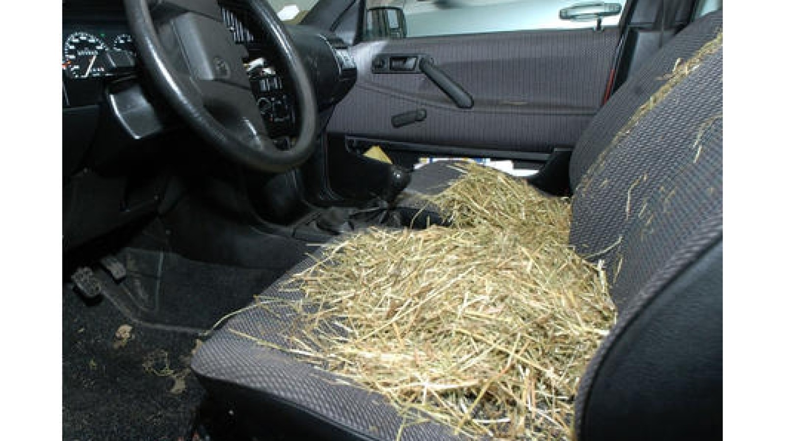 Super-Noten für Sarah Neuland