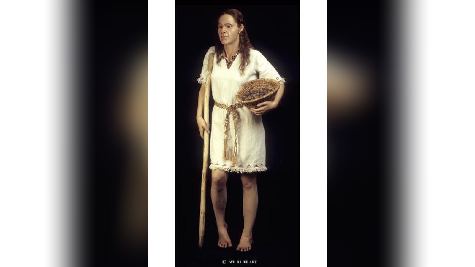 "Steinzeit-Massaker. Tatort Talheim"