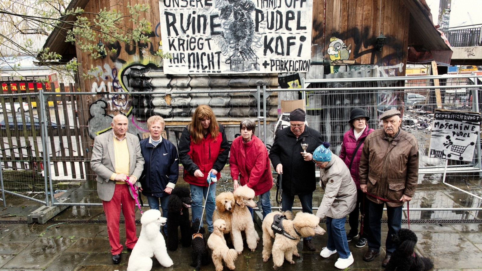 Pudel solidarisieren sich mit Golden Pudel Club