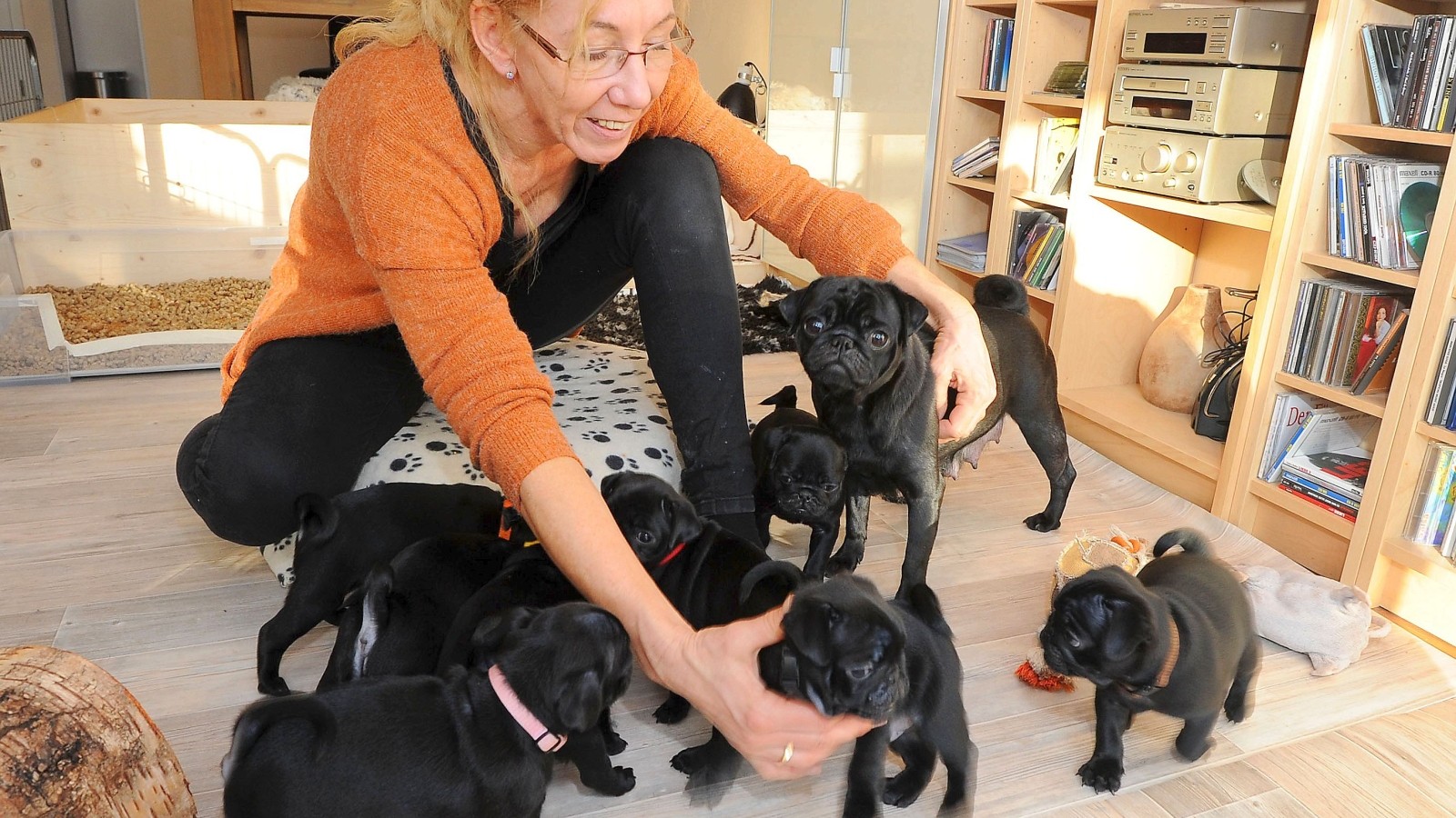 Züchterin in Oberhausen wollte früher nie einen Mops