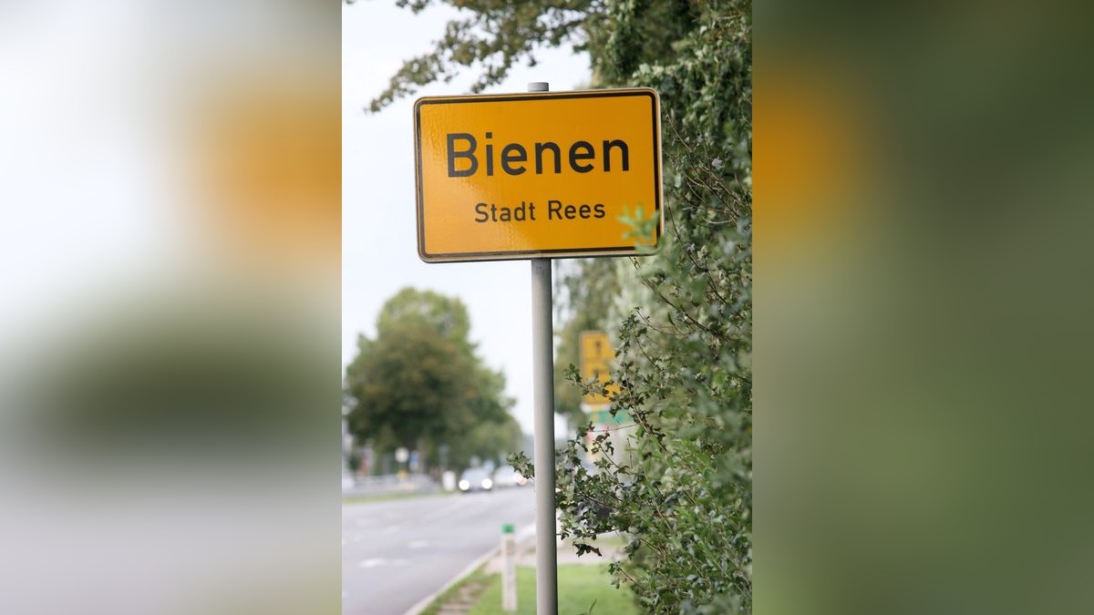 Wie heißen die Bewohner von Bienen? Bienener oder Biener?