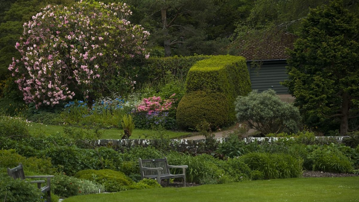 Der Spleen eines Schotten treibt auch bei mir Knospen