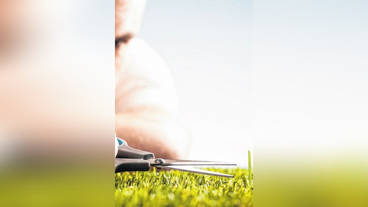 Frühlingskur für den Rasen