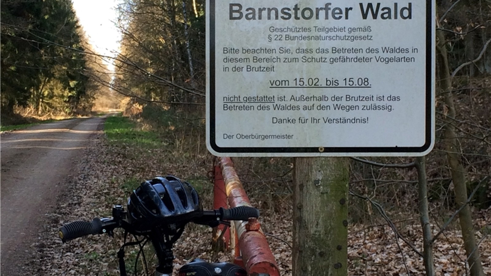 Mehr Naturschutz für den Barnstorfer Wald?