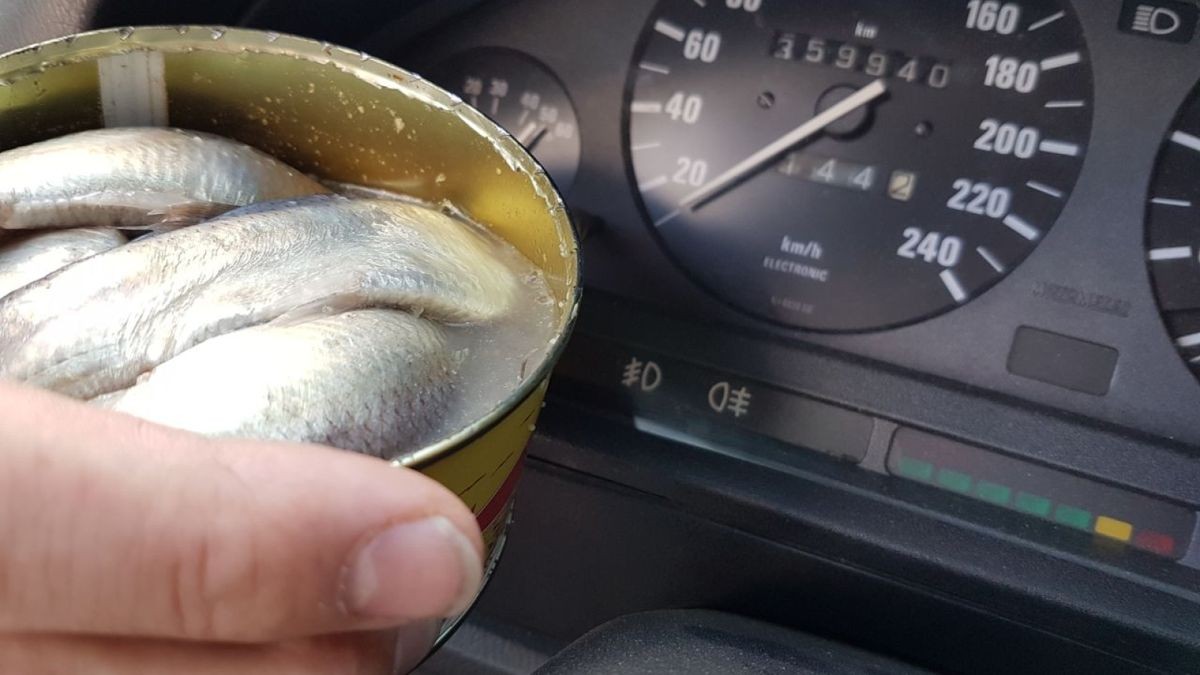 Schlaglöcher, Ziegen und stinkende Fische