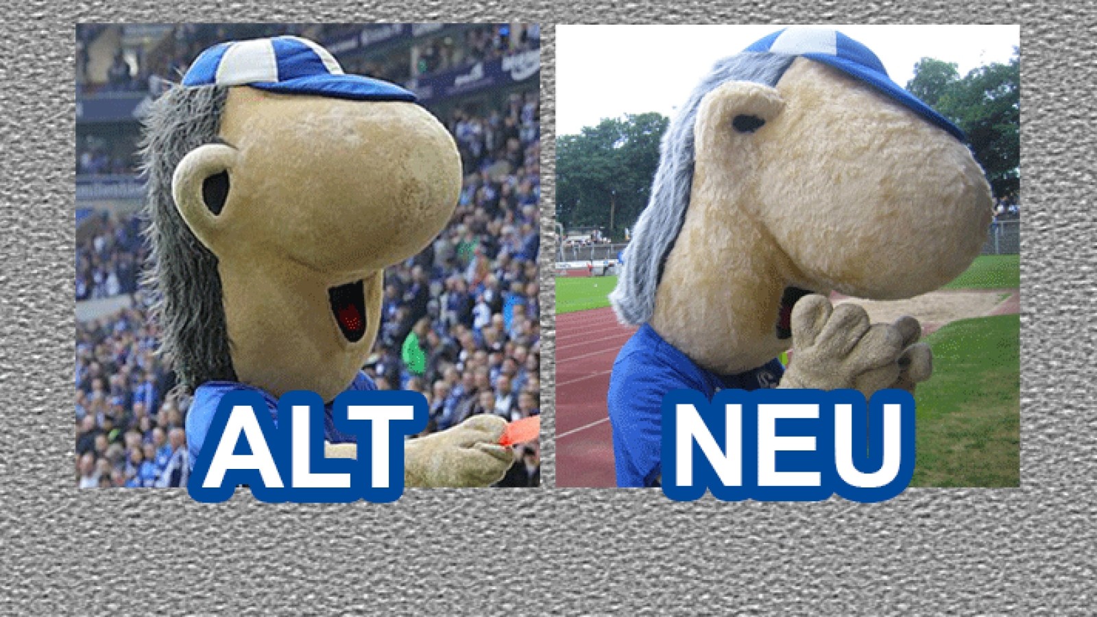 So hat sich Schalke-Maskottchen Erwin im Sommer verändert
