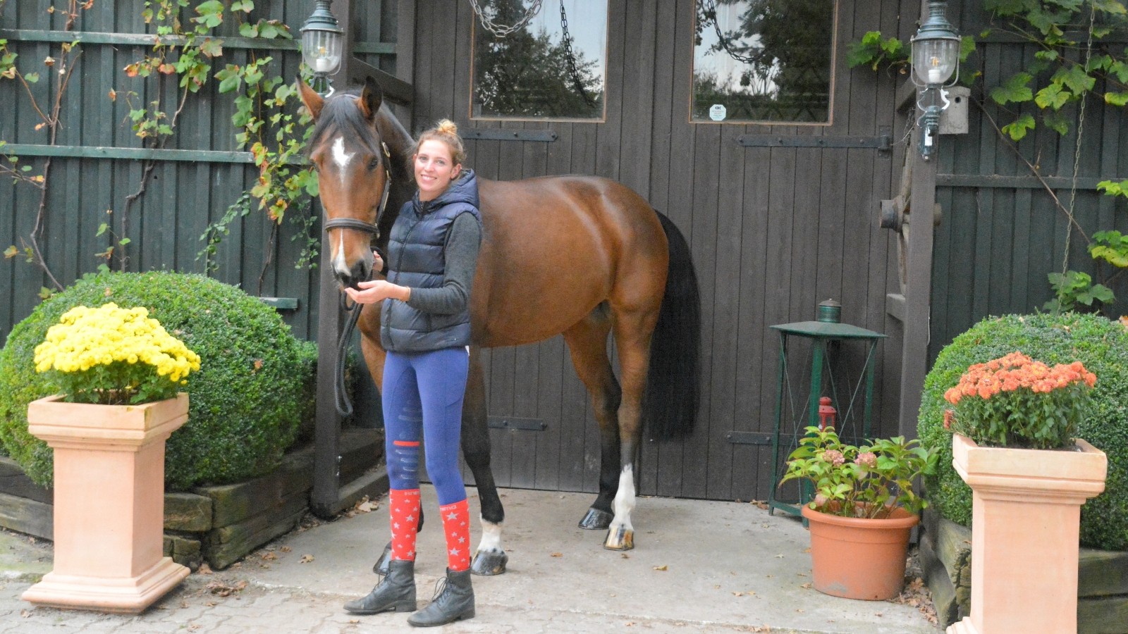 Paula de Boer rückt edle Pferde ins rechte Licht