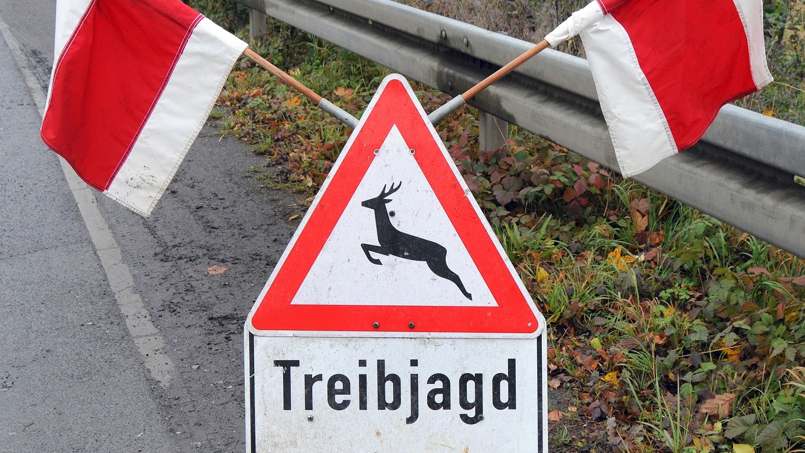 Wie sich die gemeinsame Treibjagd in Warstein etabliert