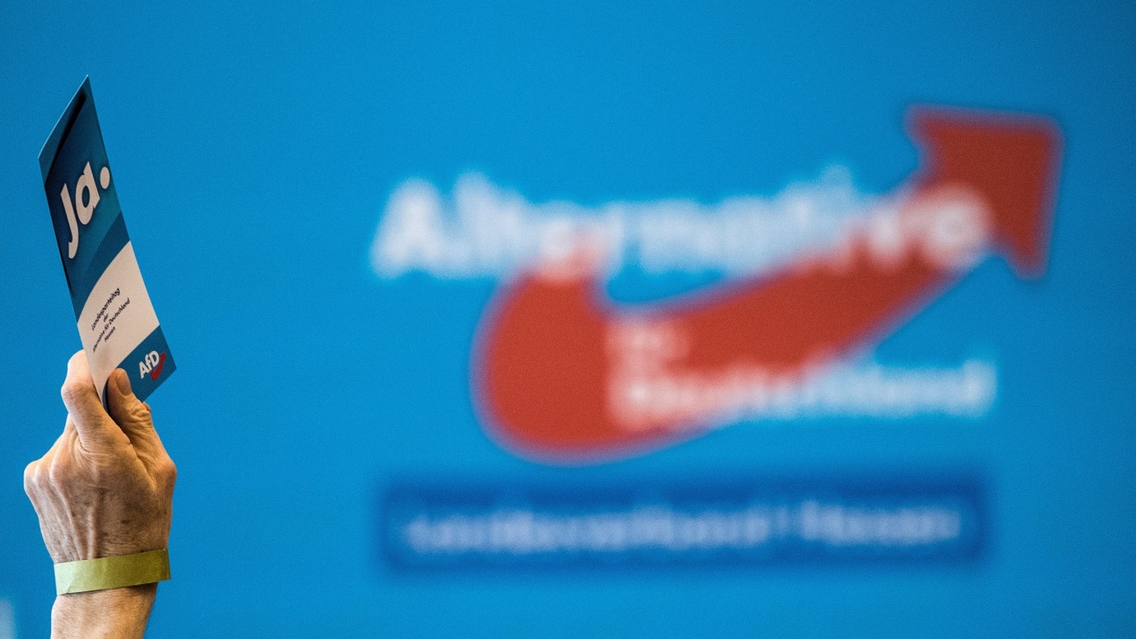 AfD-Politiker treten nach Hitlergruß aus der Partei aus