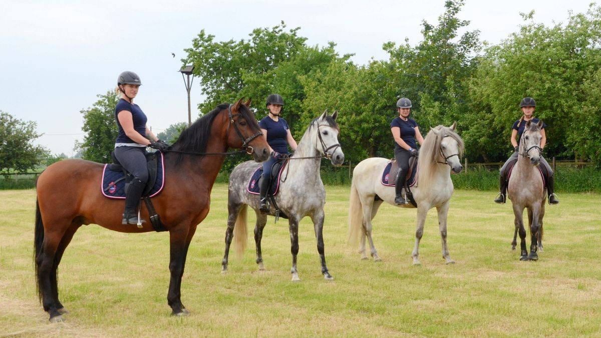 Nicole Hoff vermittelt spanische Pferde von Rees aus