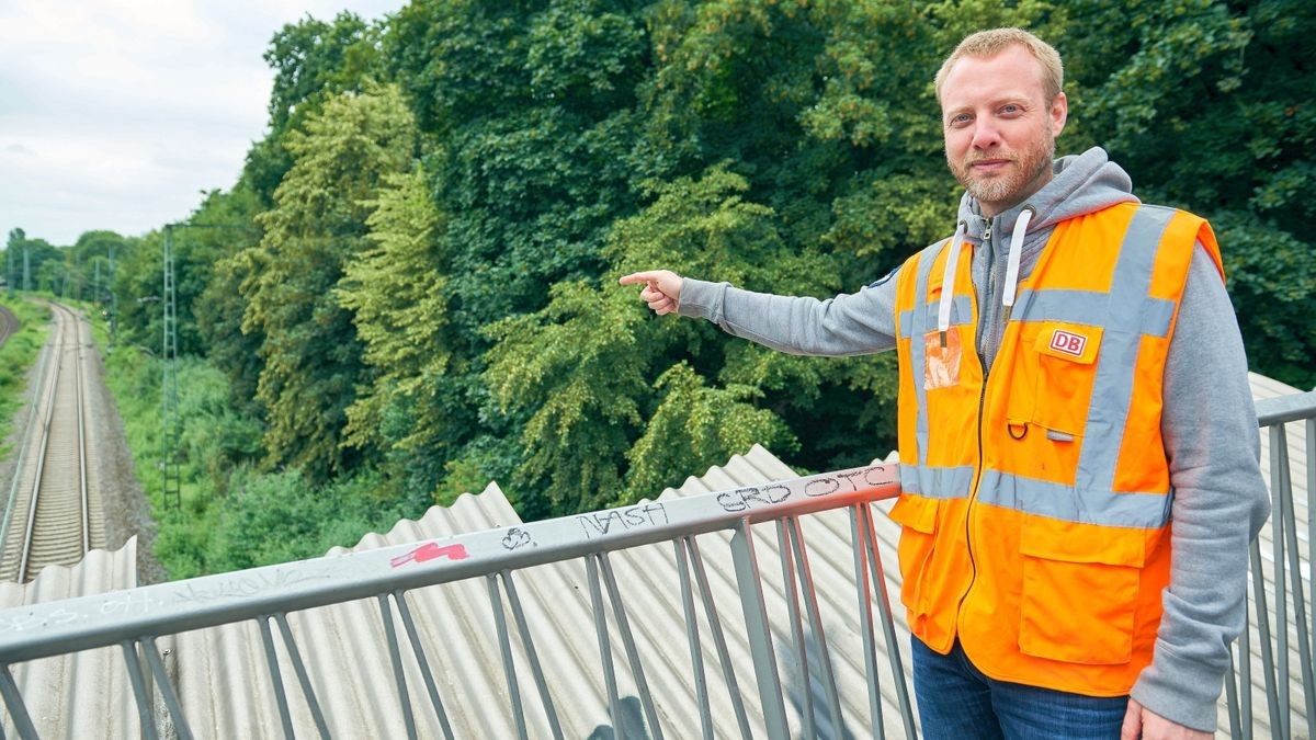 Bahn inspiziert Bäume: Strecken sollen sturmsicherer werden