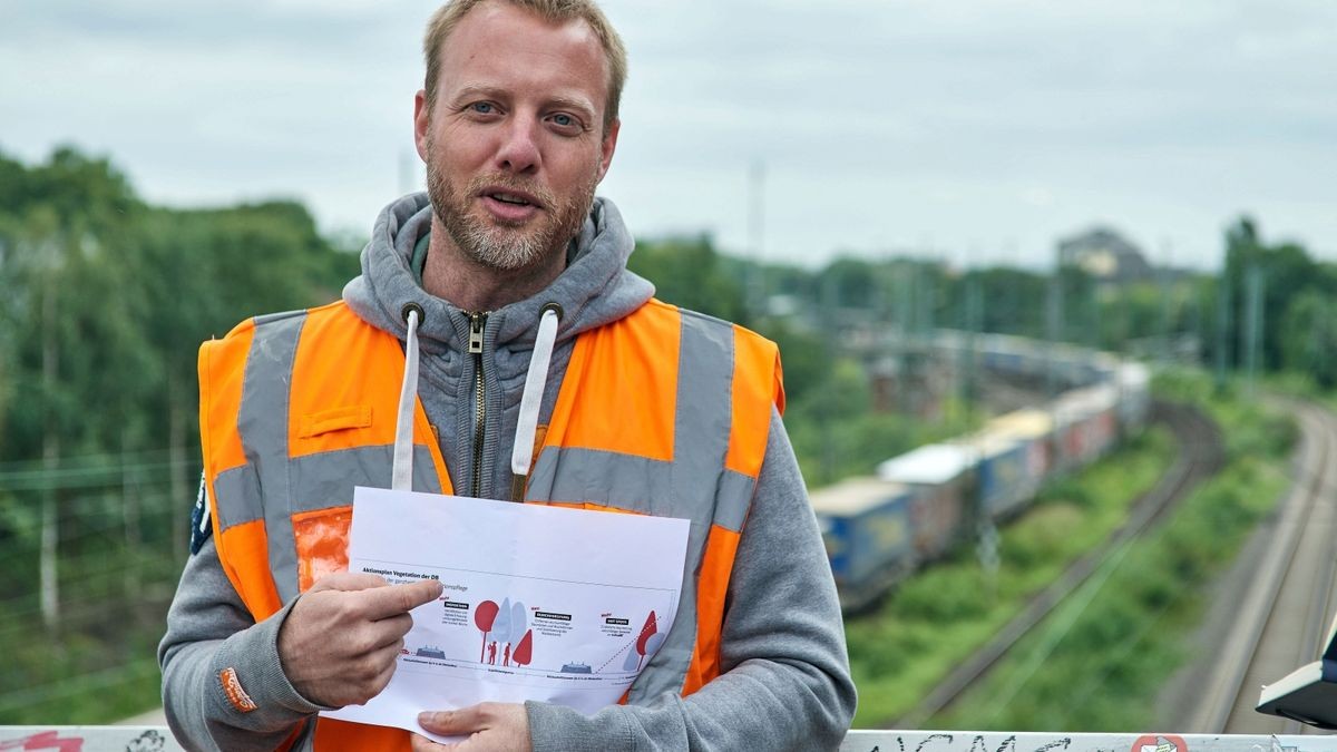 Bahn inspiziert Bäume: Strecken sollen sturmsicherer werden