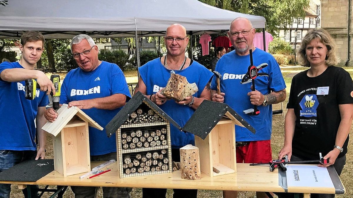 Boxer basteln für „Bienes Zukunft“