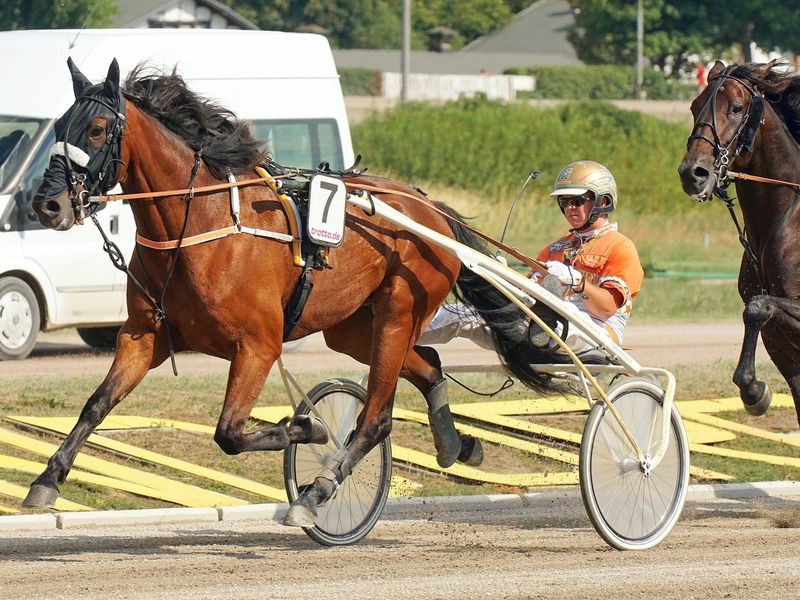 Michael Nimczyk kämpft gegen den Makel seiner Karriere