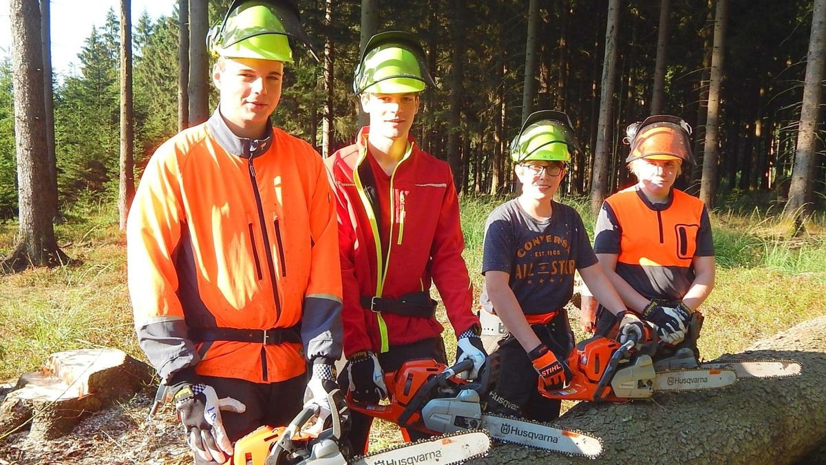 Forstwirt: „Viel mehr als nur Bäume fällen“
