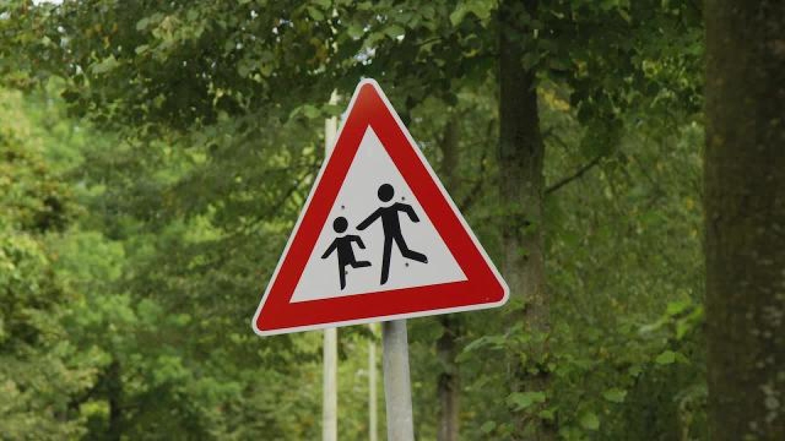 Warnblinklicht am Bus: So verhalten sich Autofahrer richtig