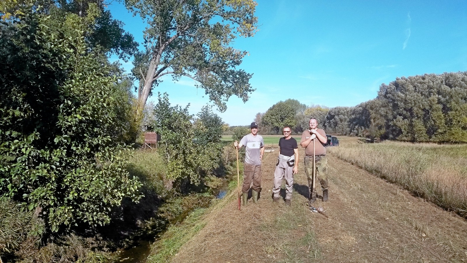 Im Staugraben bei Hillerse tummeln sich die Bachforellen