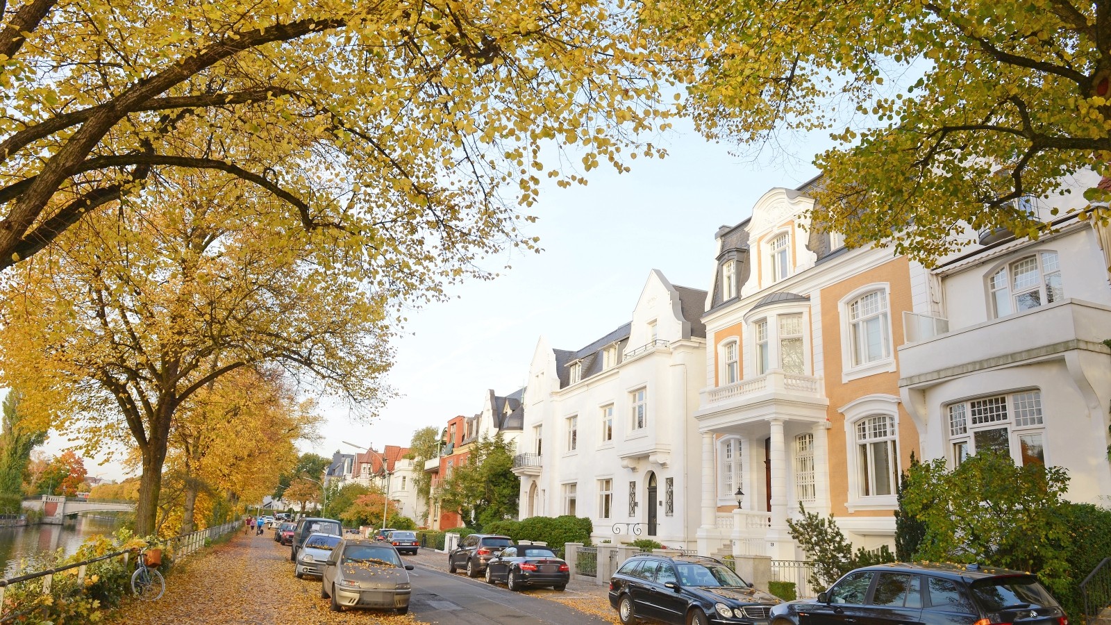 Saskia Bauer und die verschwundenen Millionen