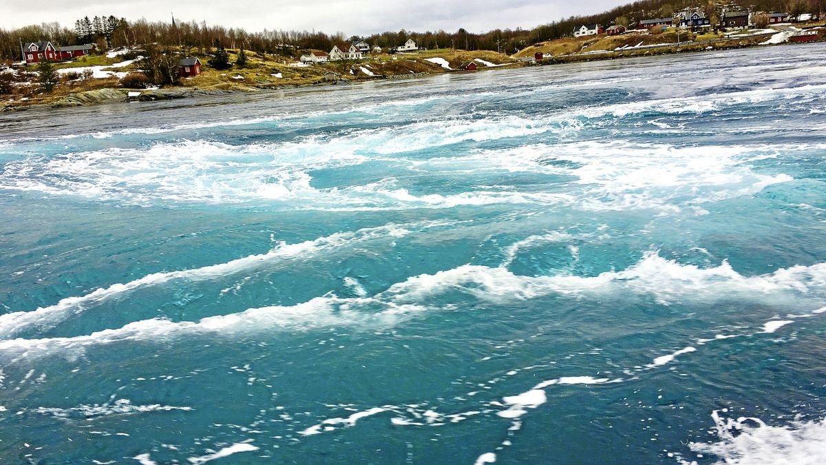 Saltstraumen - Unterwegs auf dem Gezeitenstrom im Norden Norwegens