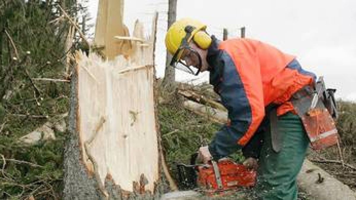 Jens Hild aus Großeutersdorf hat die aktuelle Chronik für den Landkreis ...