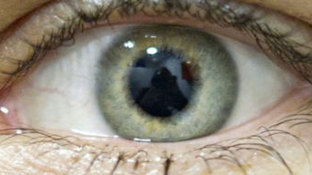 Warum werden unsere Pupillen im Dunkeln größer?