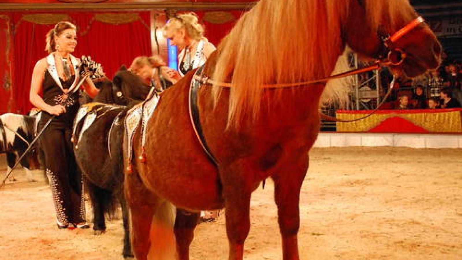 Alexandra Probst will Tradition der Zirkusfamilie weiterführen