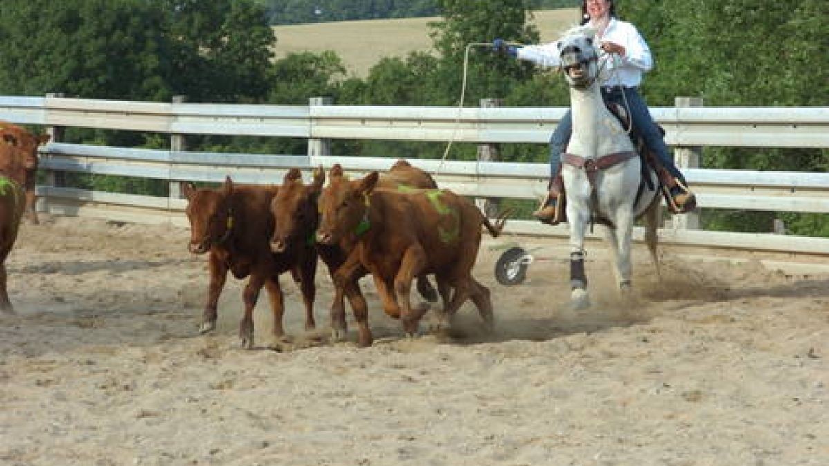 Sommerrodeo auf der Twin-S-Ranch in Linda