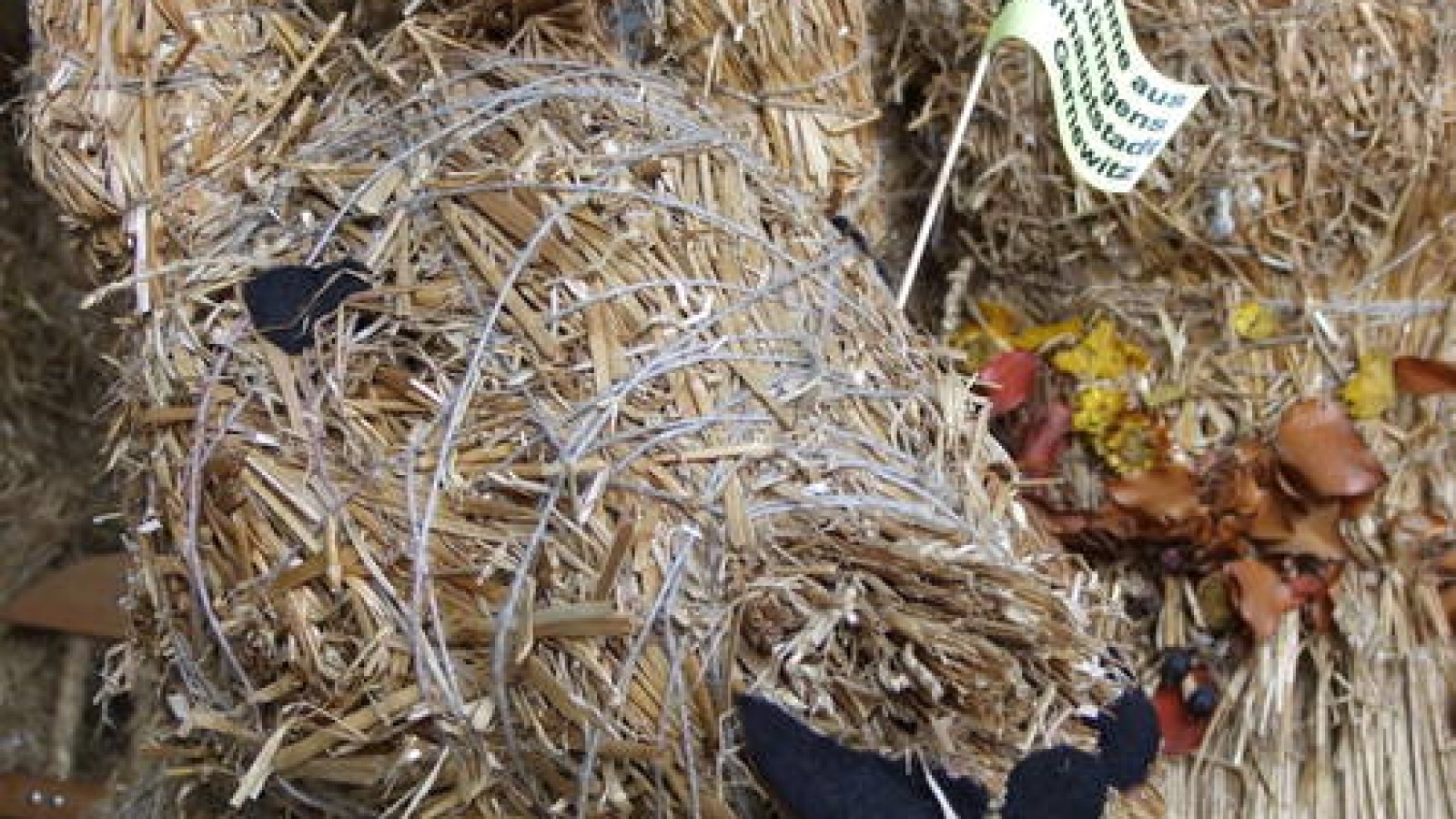 Gernewitz: Gerald Becker ist Strohmann mit Leib und Seele